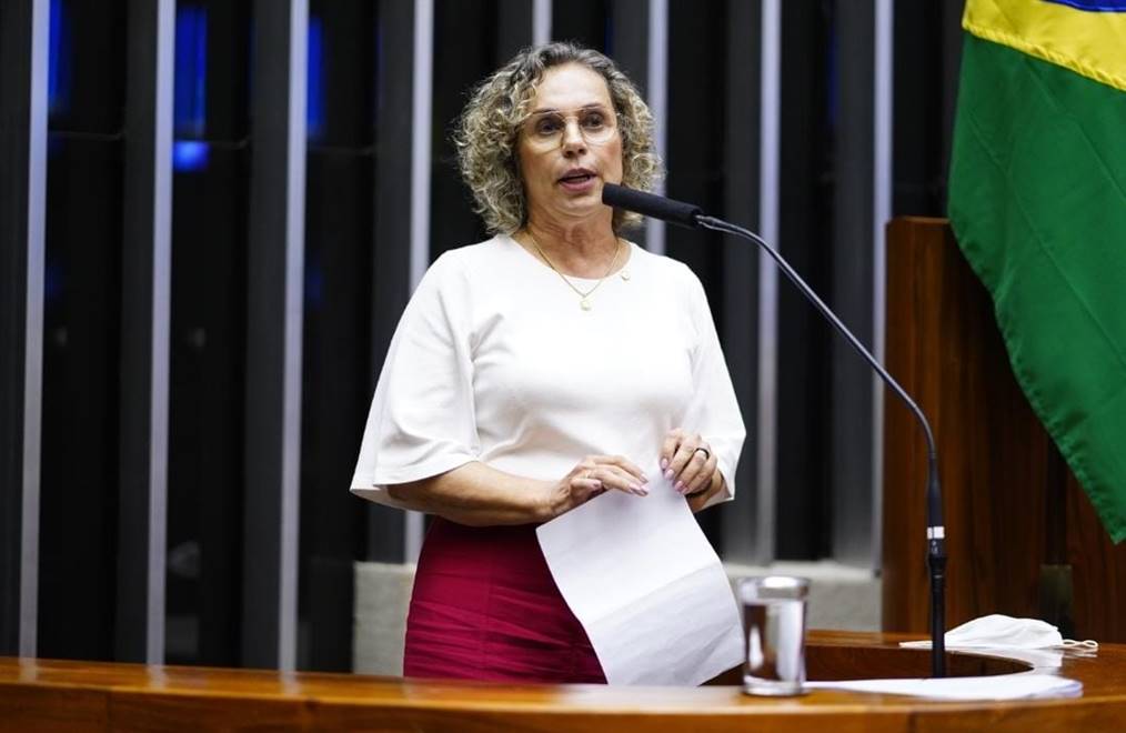 Comissão De Saúde Aprova Requerimento Da Deputada Ana Paula Lima Para